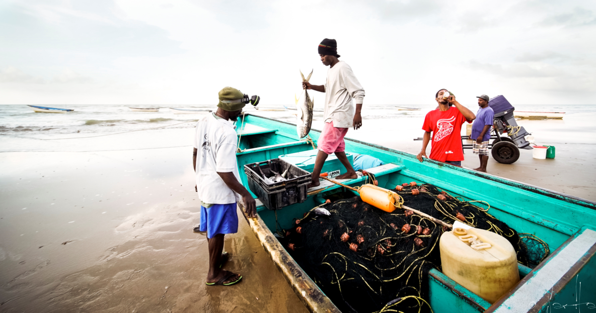 TT Income Fund | Achieve Growth with High Yield Investments